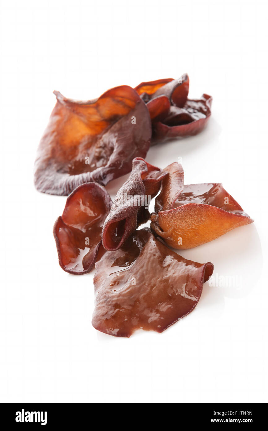 Ear mushroom Cut Out Stock Images & Pictures - Alamy