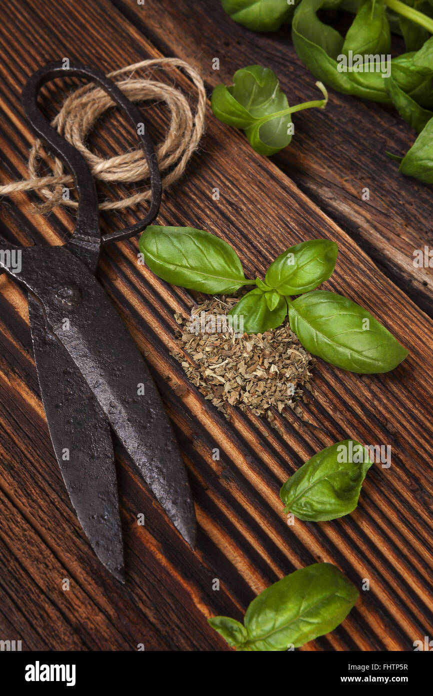 Culinary basil hi-res stock photography and images - Alamy