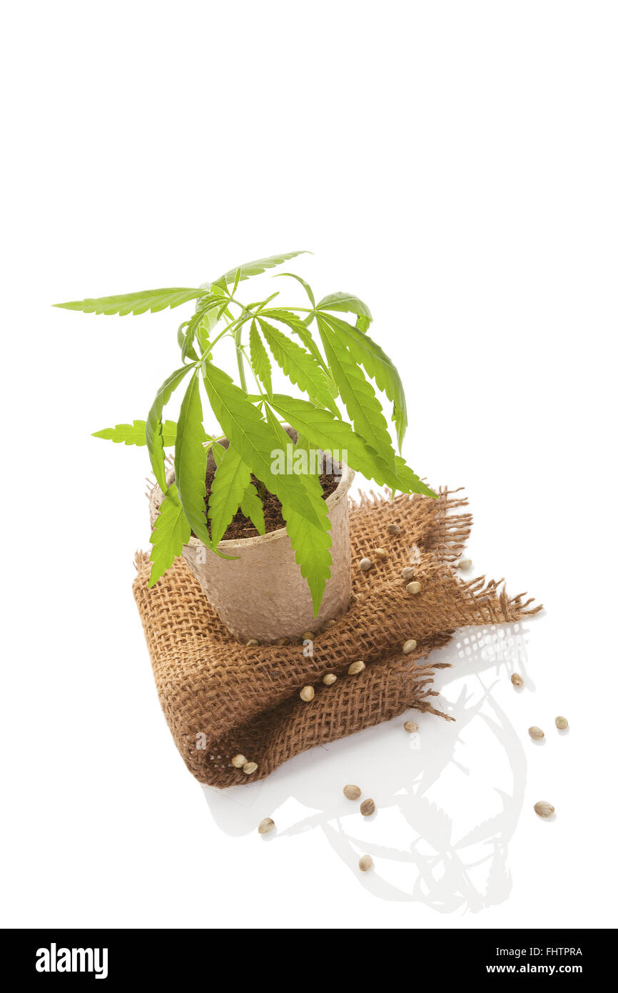 Hemp fabric hi-res stock photography and images - Alamy