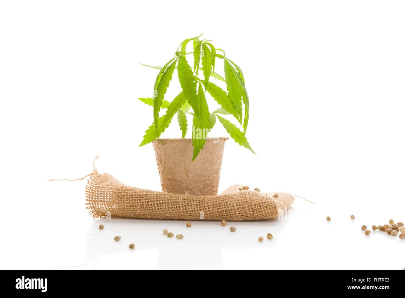 Hemp fabric hi-res stock photography and images - Alamy