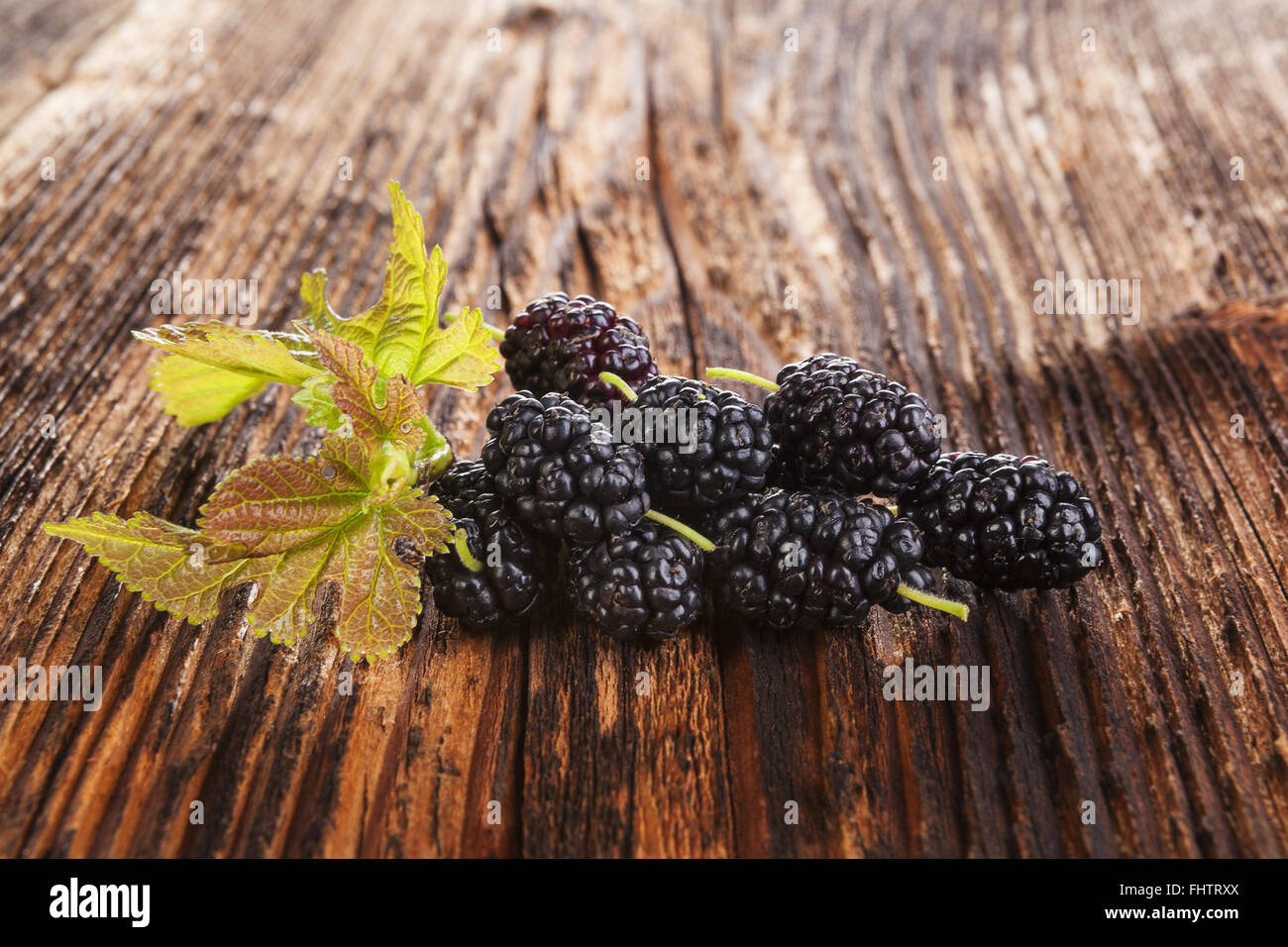 Mulberry fruit hi-res stock photography and images - Alamy