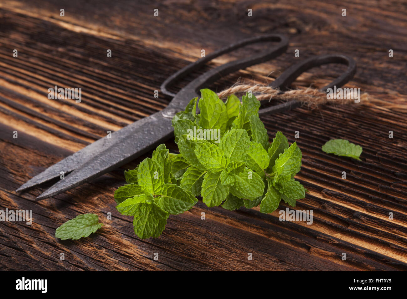 Aromatic culinary herbs, mint Stock Photo - Alamy