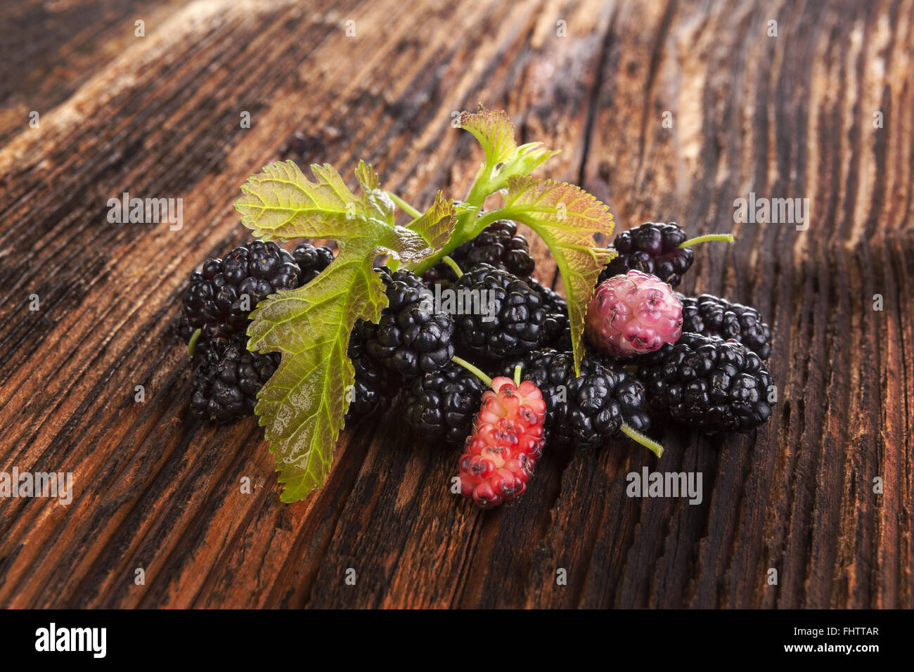Morus fruit hi-res stock photography and images - Alamy