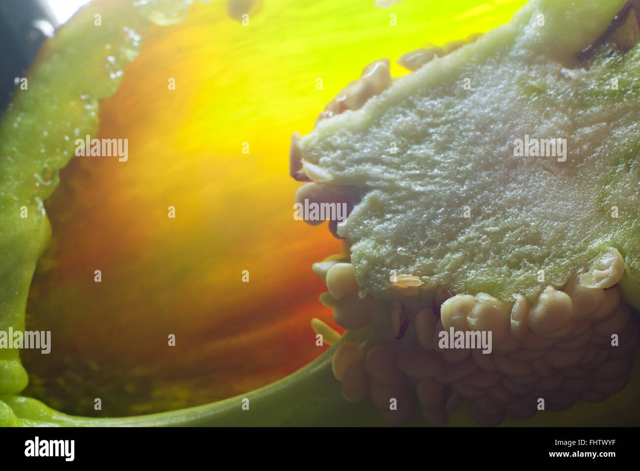 Cross section of pepper plant stem hi-res stock photography and images ...