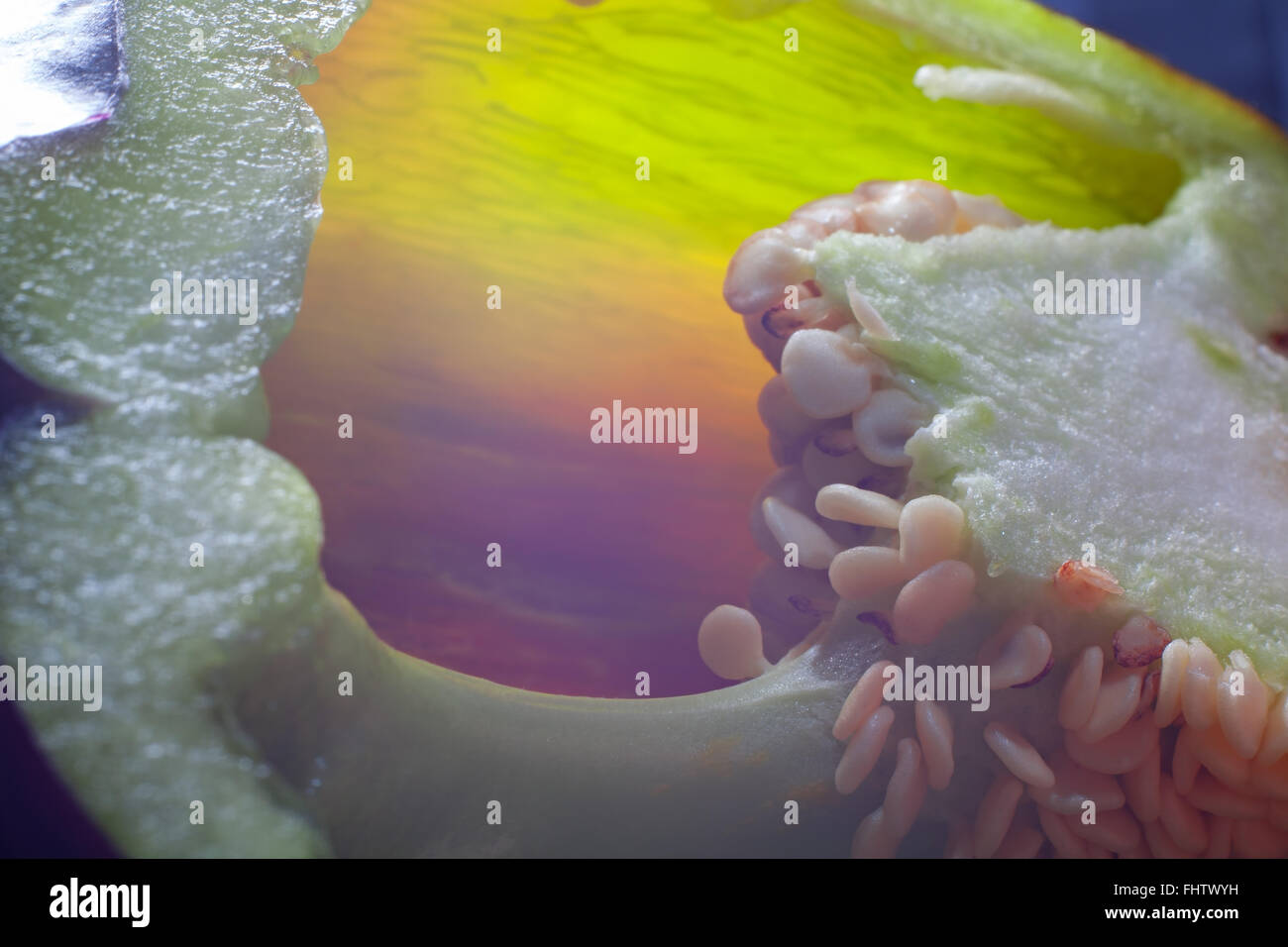 Cross section of pepper plant stem hi-res stock photography and images ...