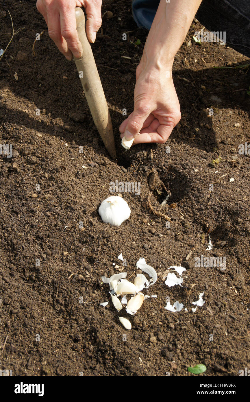 Earth rake flower bed hi-res stock photography and images - Alamy