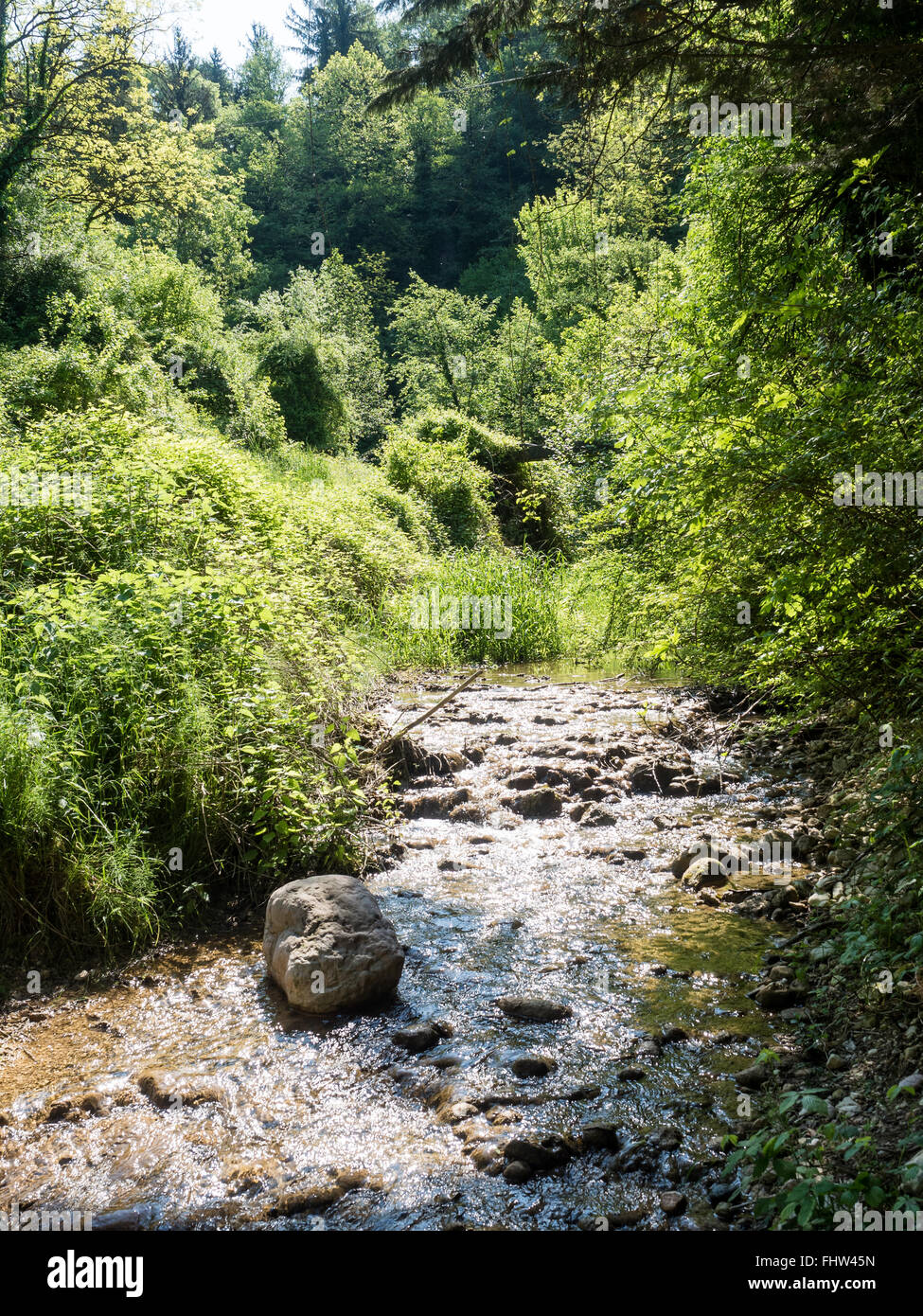Water running through moss hi-res stock photography and images - Alamy