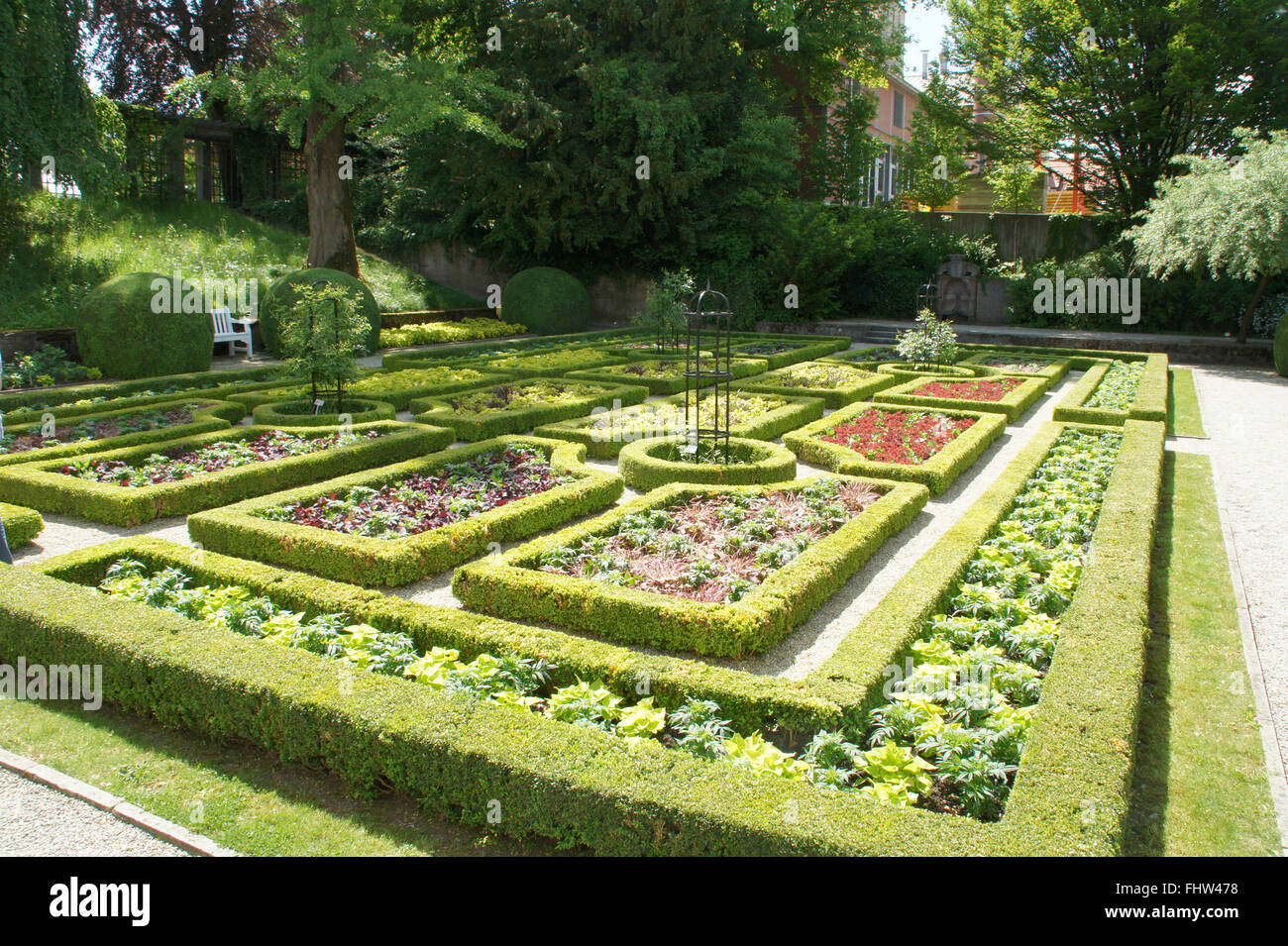 Buxus sempervirens hi-res stock photography and images - Alamy