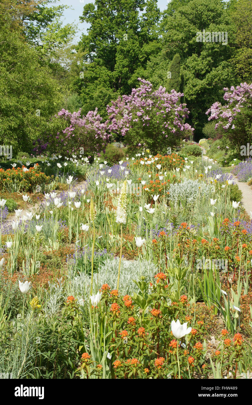 Prairie bed hi-res stock photography and images - Alamy