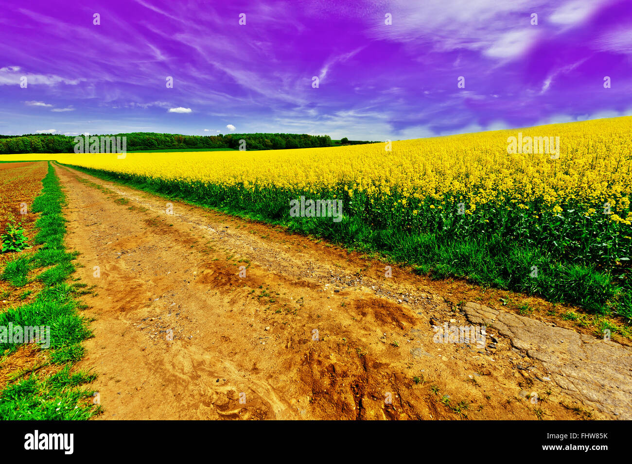 Blue alfalfa hi-res stock photography and images - Alamy