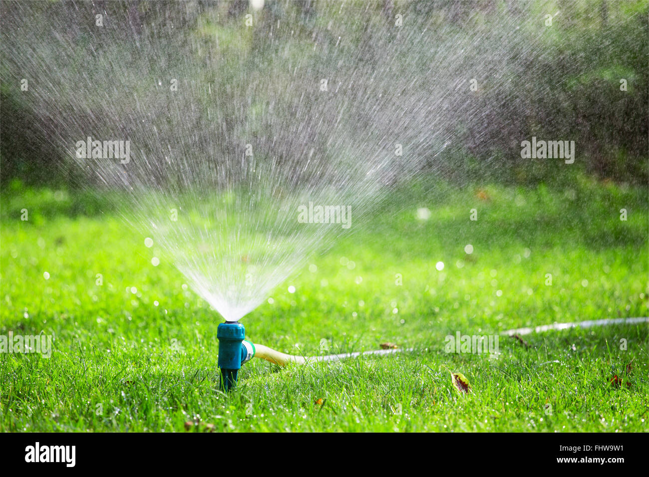 Lawn sprinkler spraying water over grass in garden on a hot summer day ...