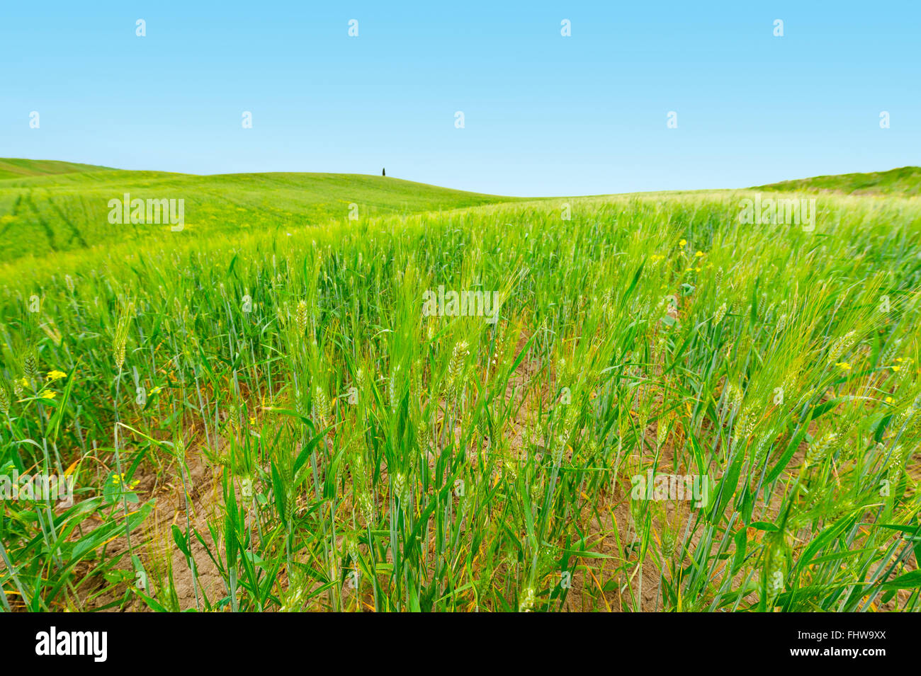 Sow the fields hi-res stock photography and images - Alamy
