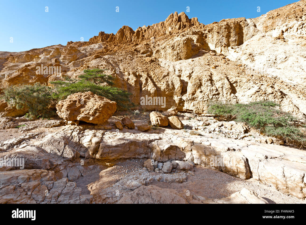 Desert in Spring Stock Photo - Alamy