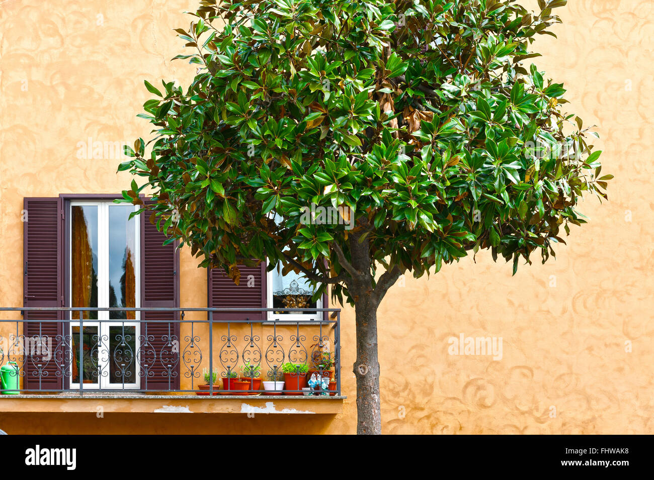 Ornamental tree hi-res stock photography and images - Alamy