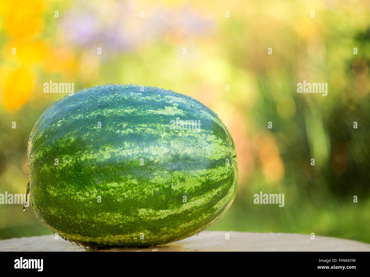 Wet ripe watermelon on table Stock Photo - Alamy