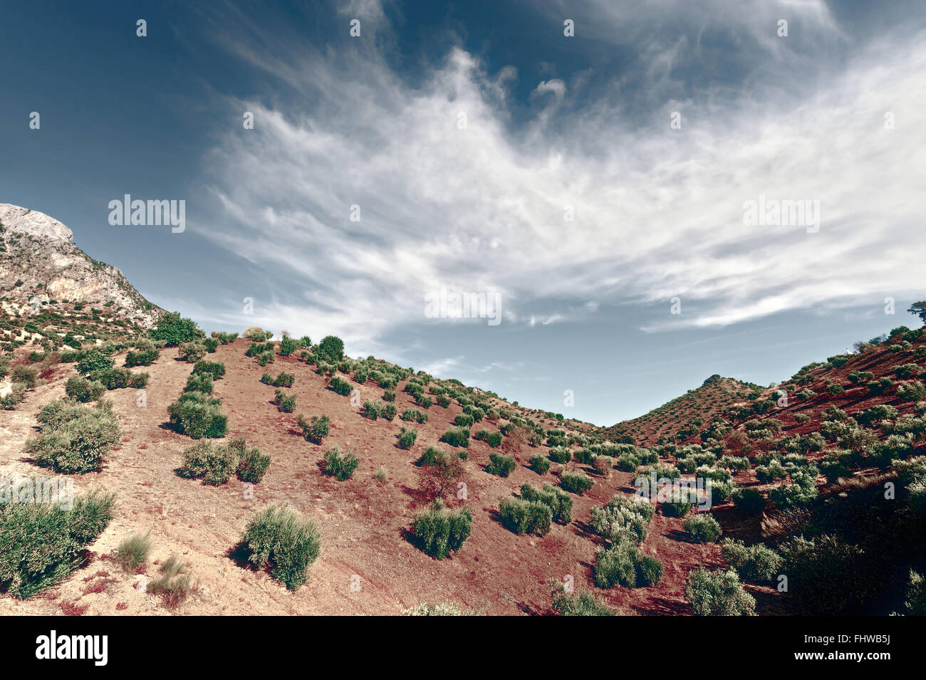 Shad grove hi-res stock photography and images - Alamy