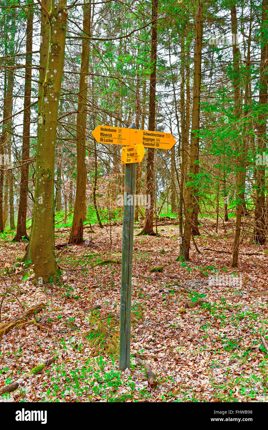 Pointer plant hi-res stock photography and images - Alamy