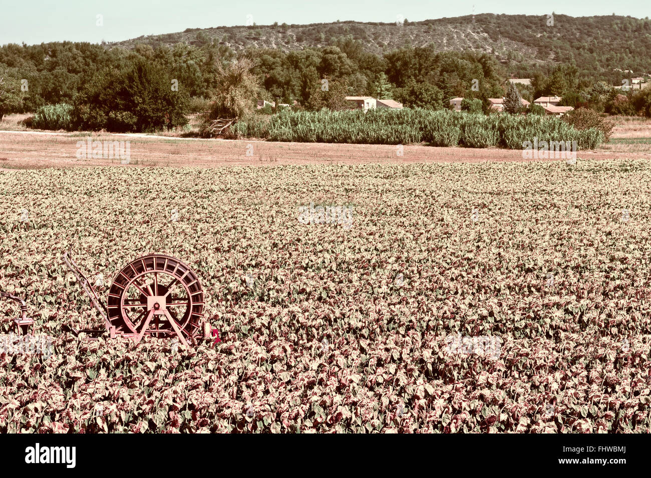 Vintage irrigation hi-res stock photography and images - Alamy