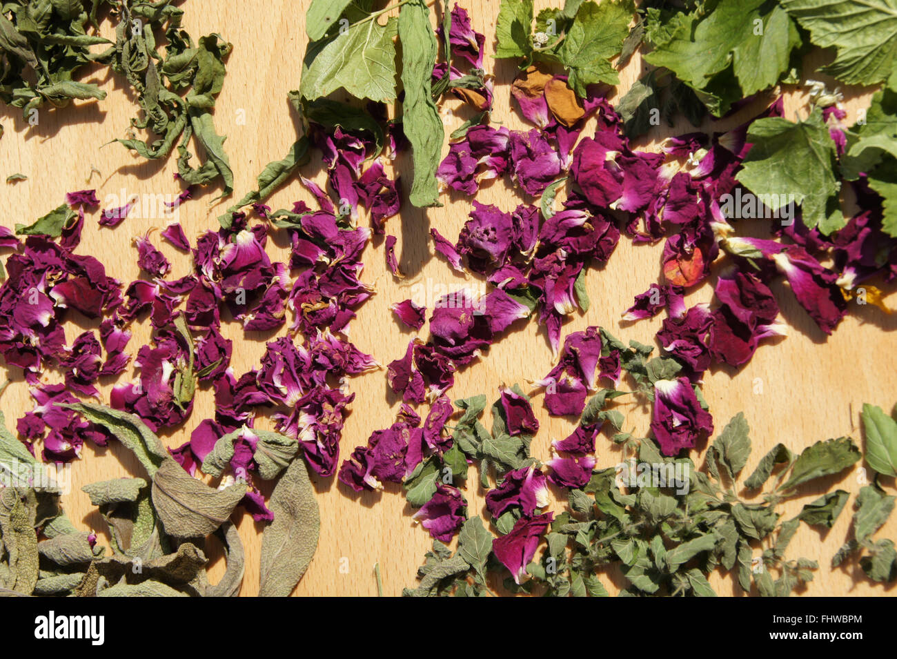 Dry rose flowers Stock Photo - Alamy