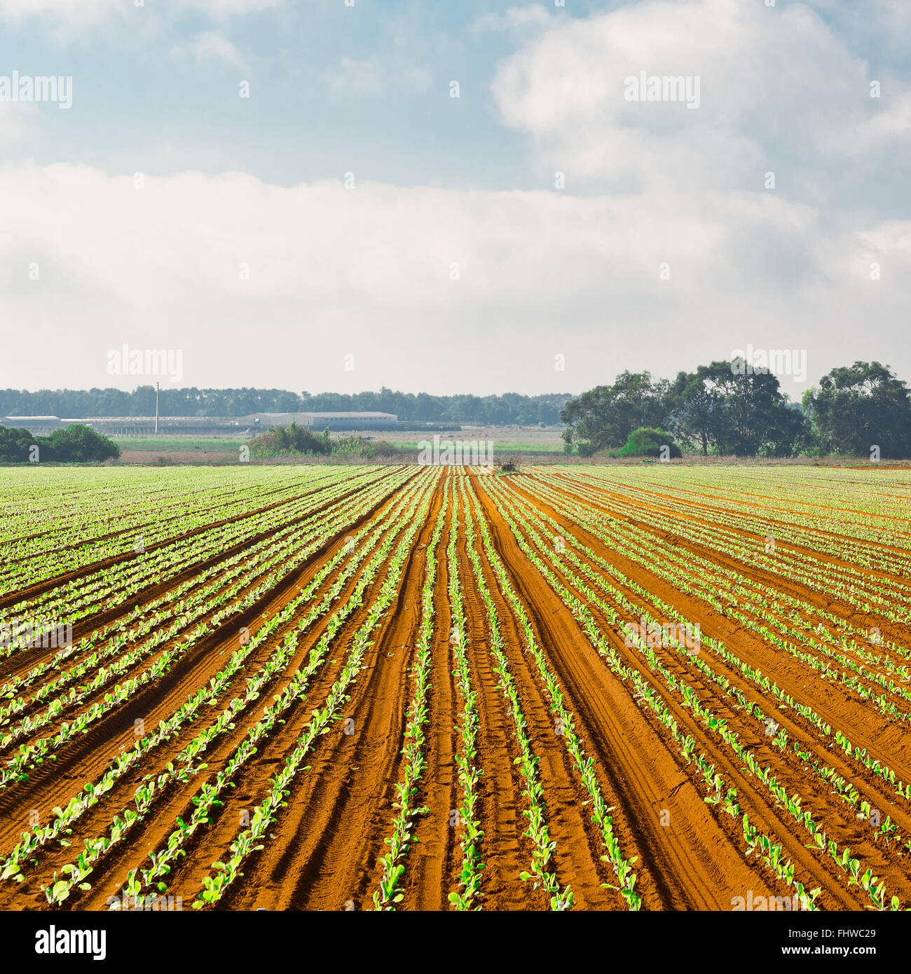 Tractor farm field portugal hi-res stock photography and images - Alamy