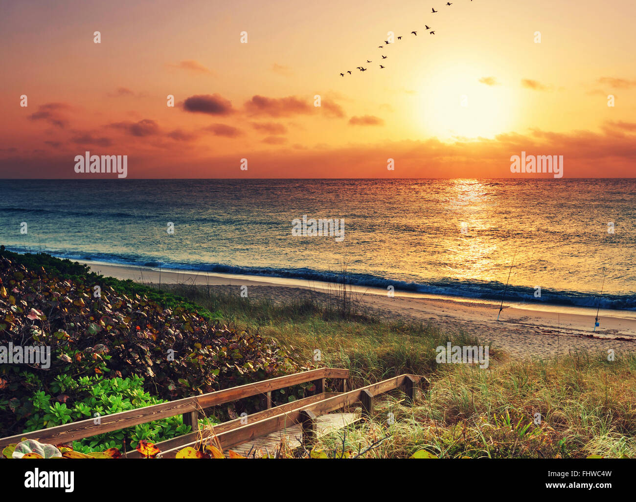 Boardwalk on the beach Stock Photo - Alamy