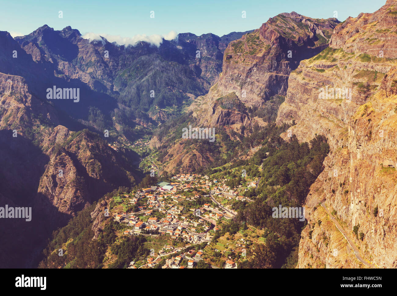 Native flower of madeira hi-res stock photography and images - Alamy