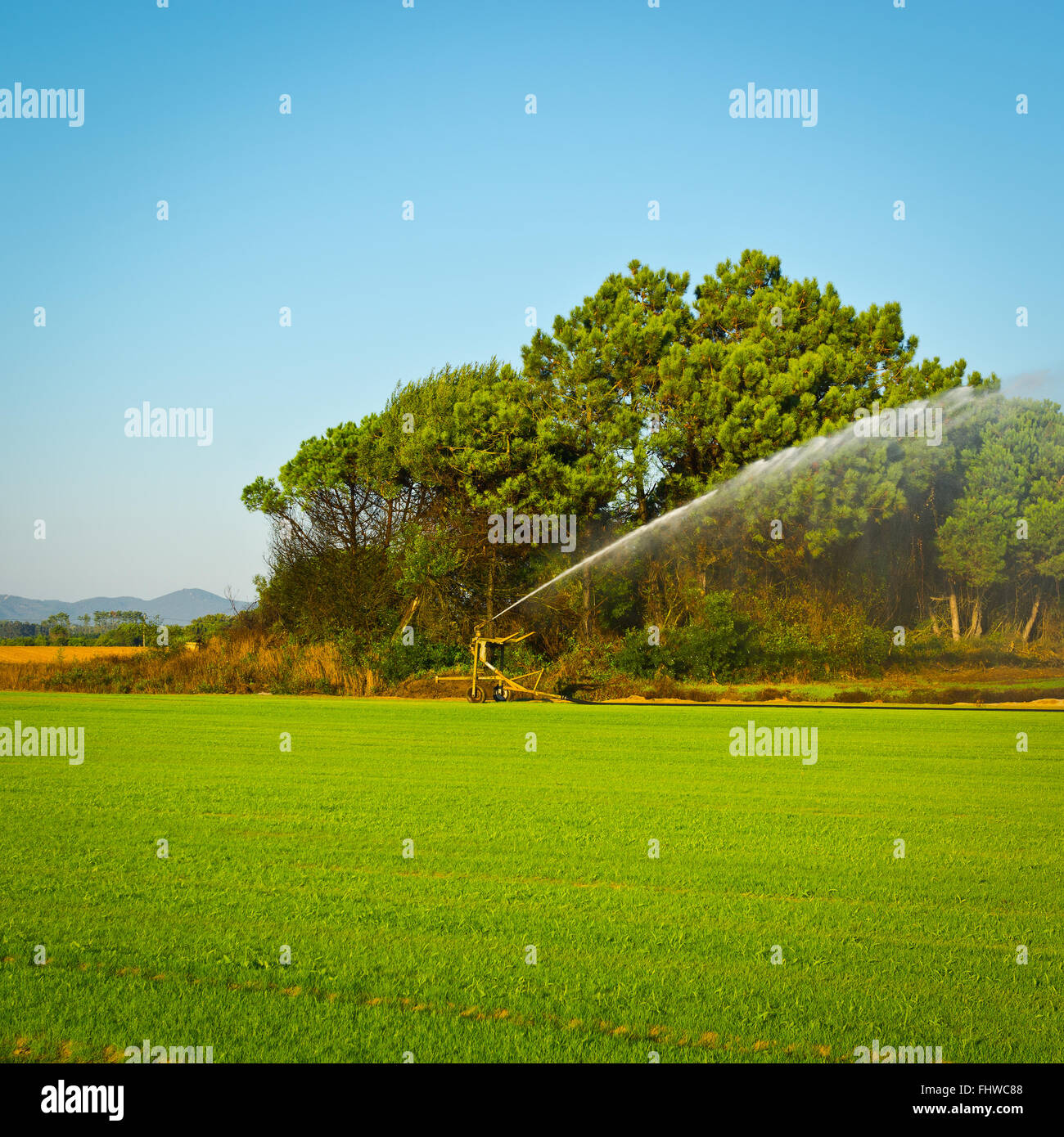 Watering pipe hi-res stock photography and images - Alamy