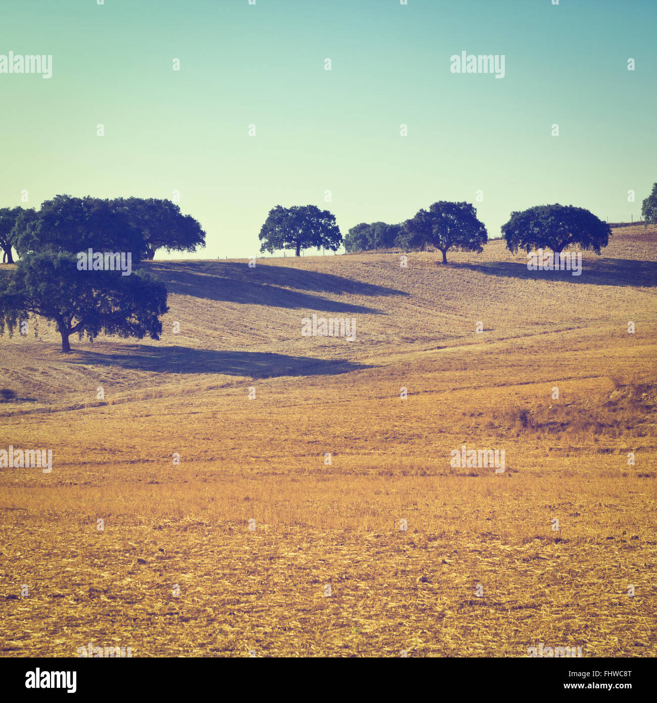 Sloping arable land hi-res stock photography and images - Alamy