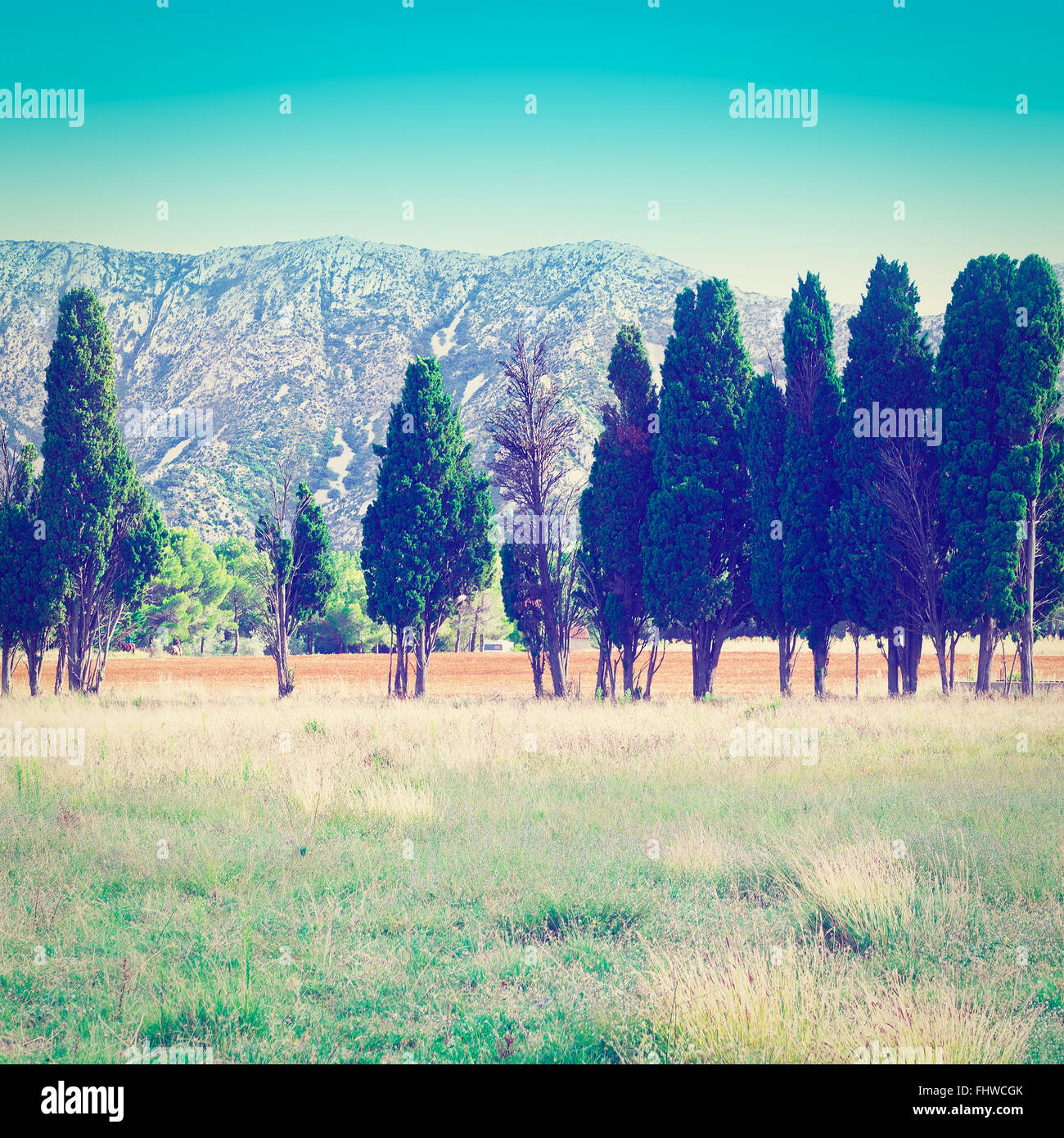 Empty green farm pasture hi-res stock photography and images - Alamy