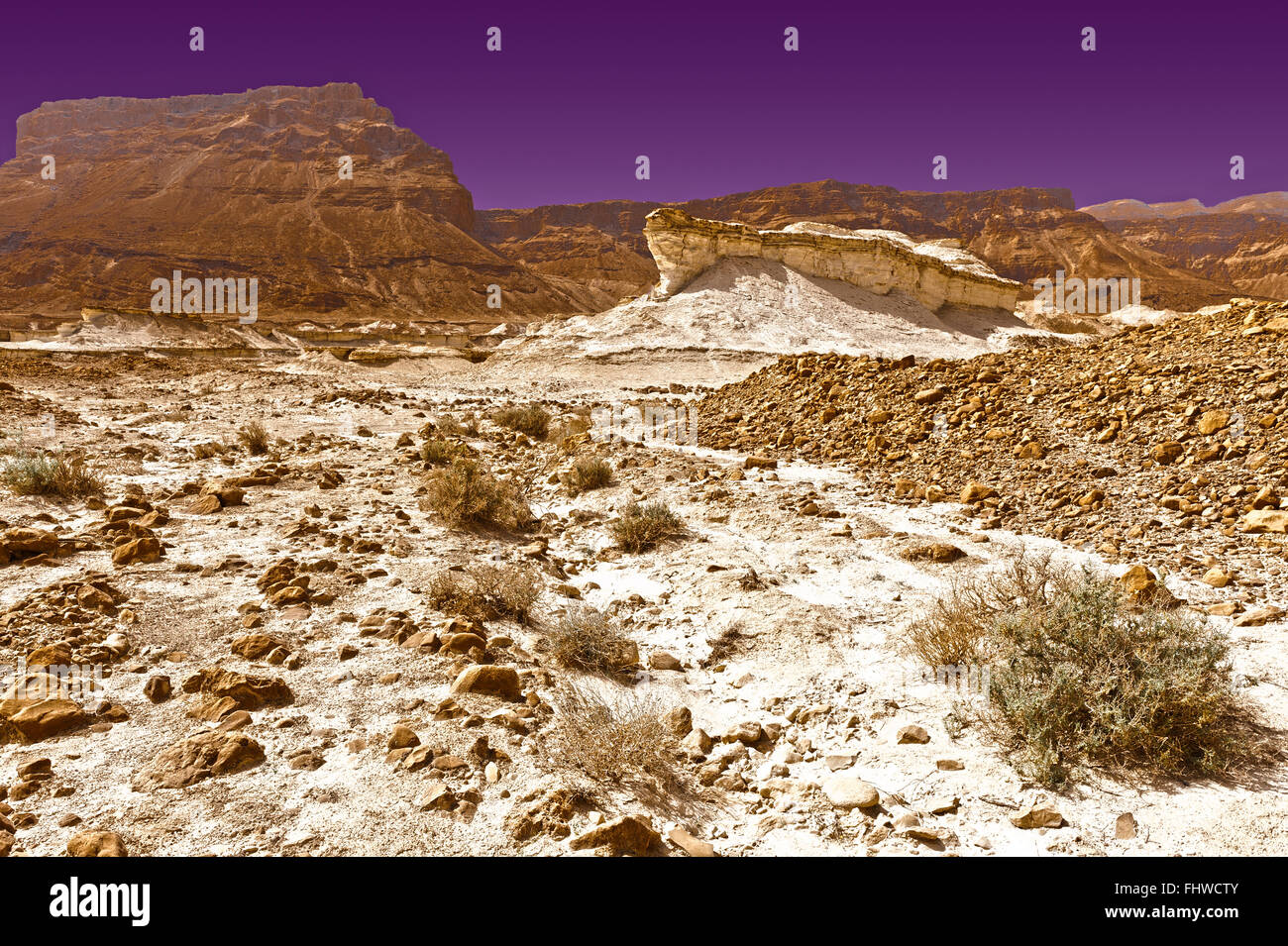 Desert evening hi-res stock photography and images - Alamy