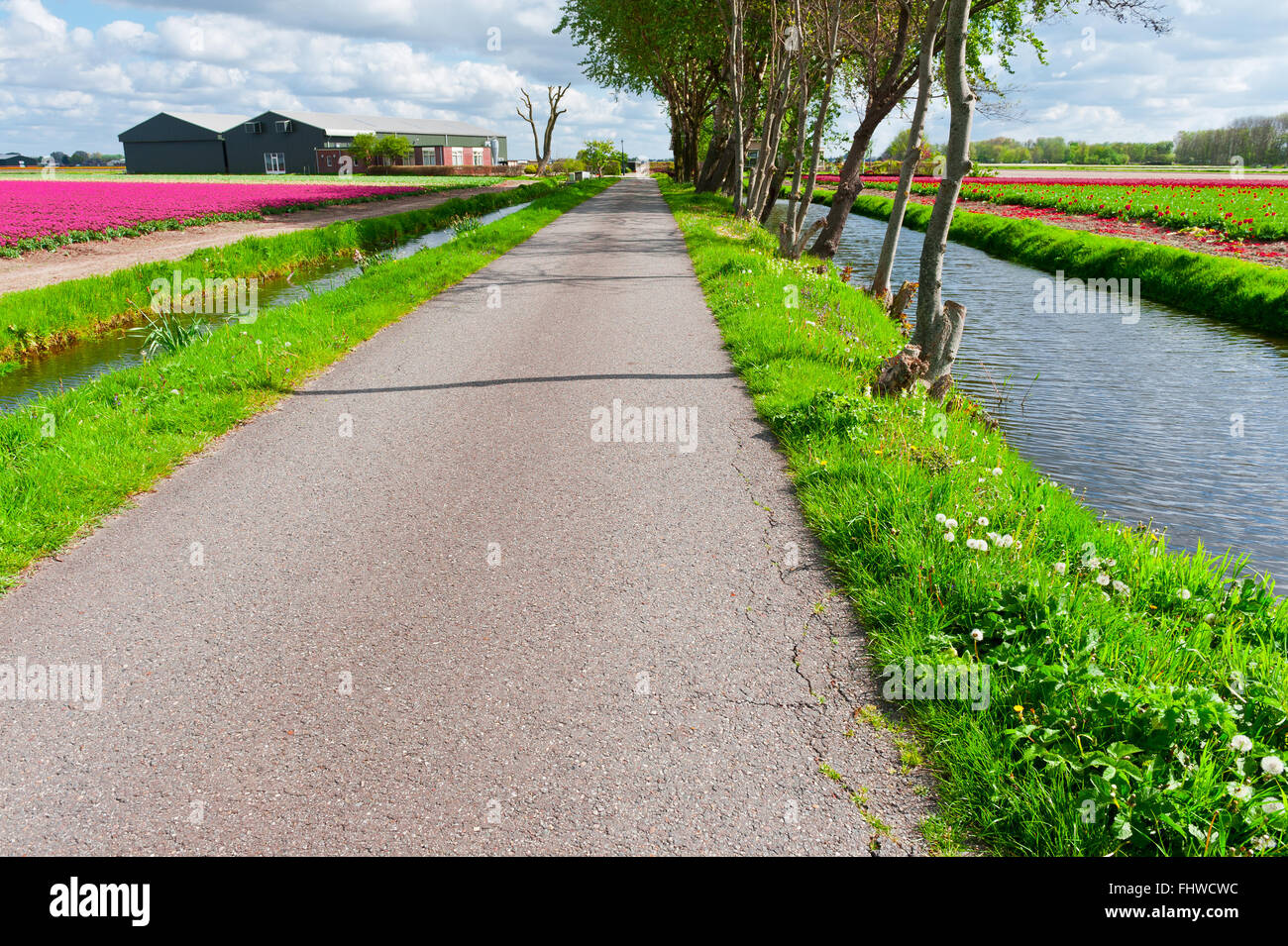 Asphalt path hi-res stock photography and images - Alamy