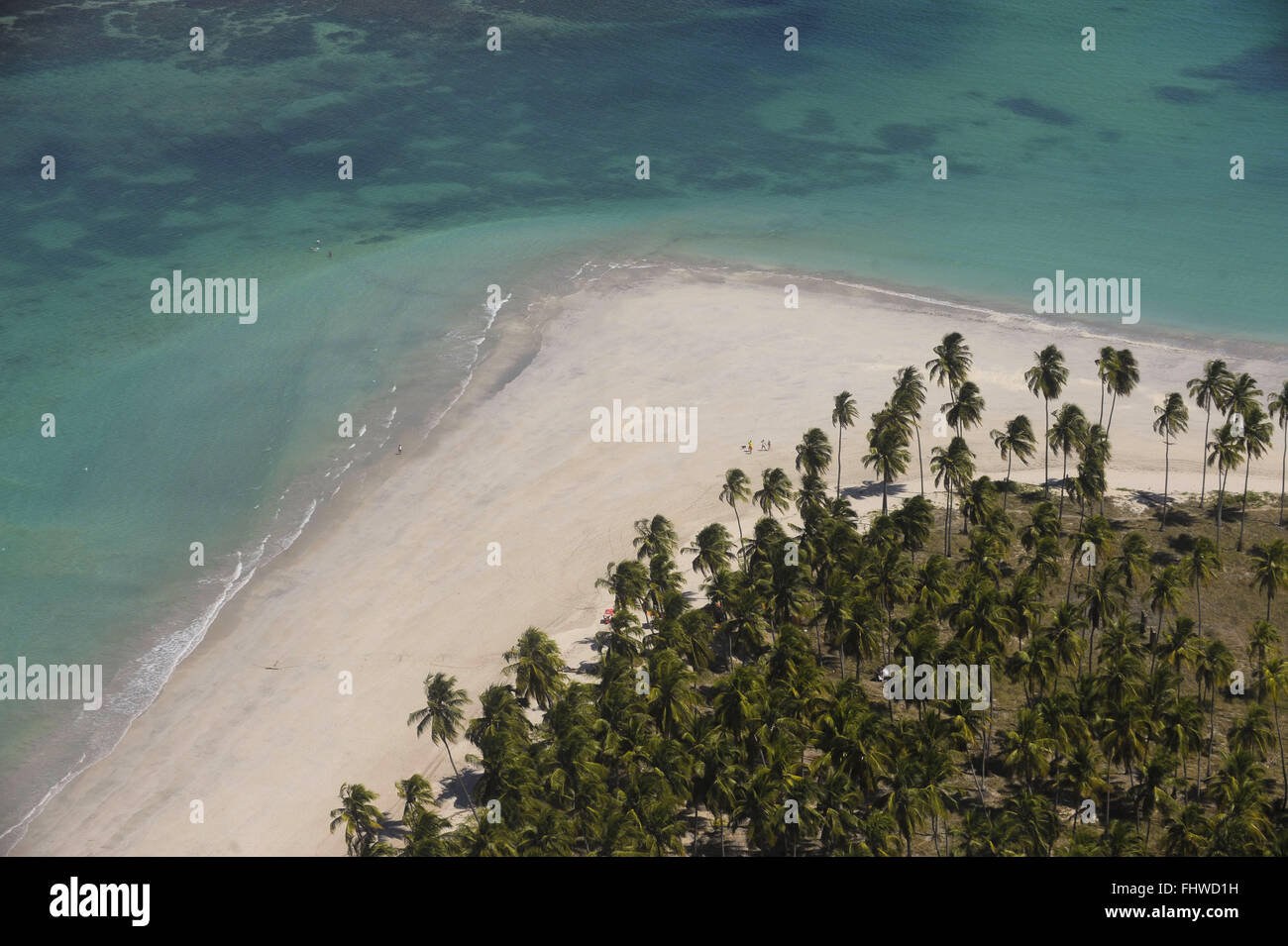 Beach of Sheep - aerial view Stock Photo - Alamy