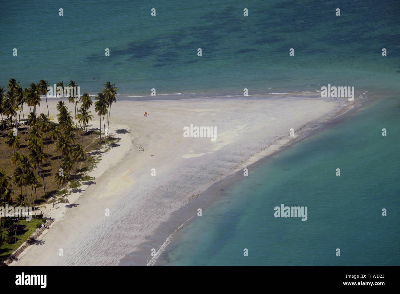 Beach of Sheep - aerial view Stock Photo - Alamy