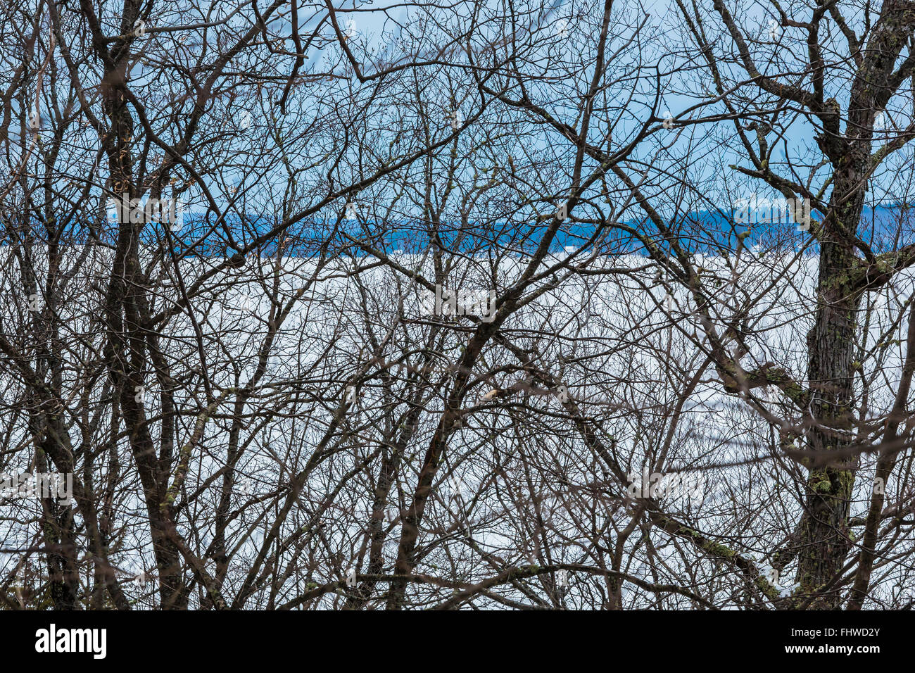 The frozen South Bay of Lake Superior in the Sand Point area of ...