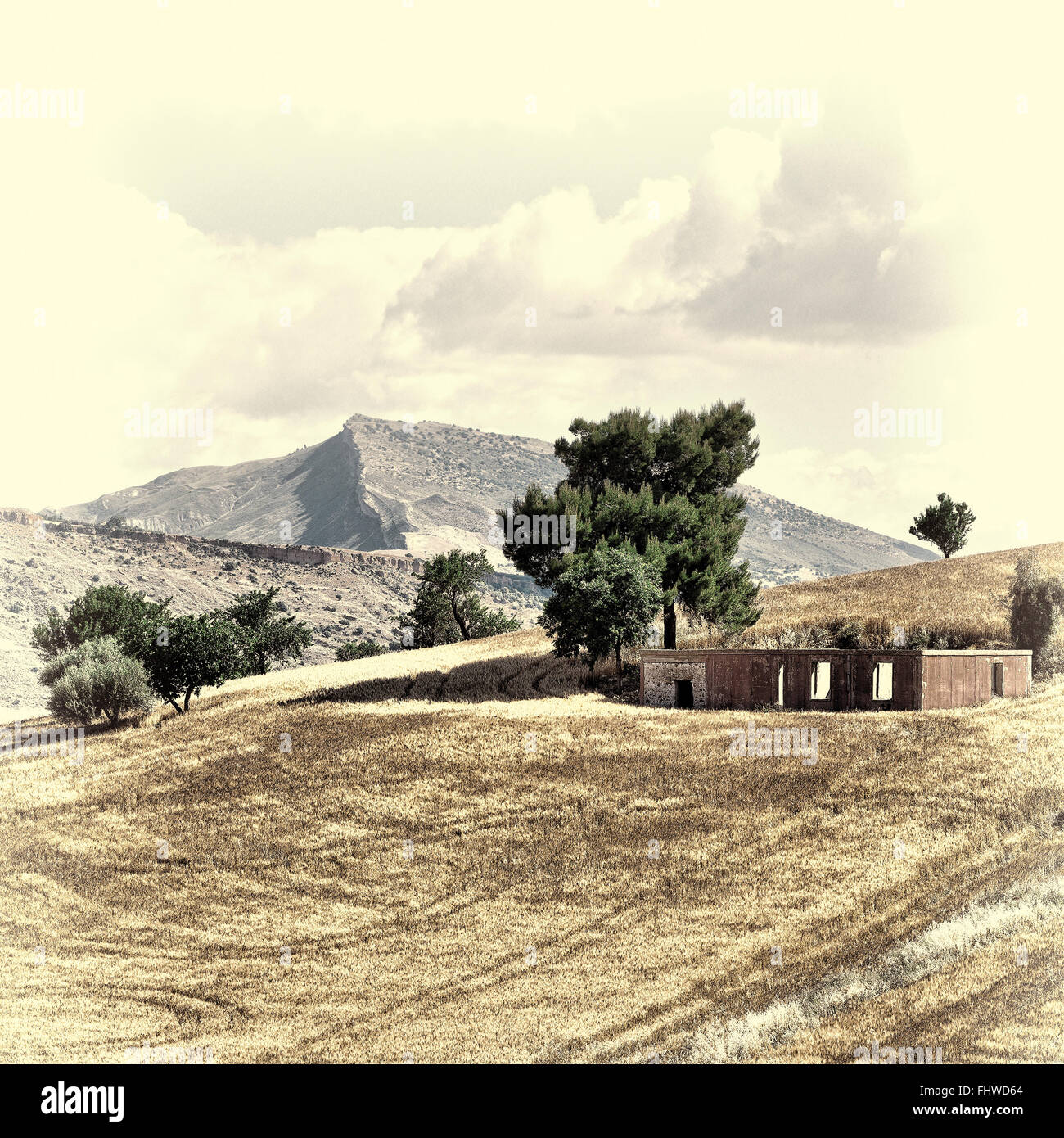 The fields wheat hi-res stock photography and images - Alamy