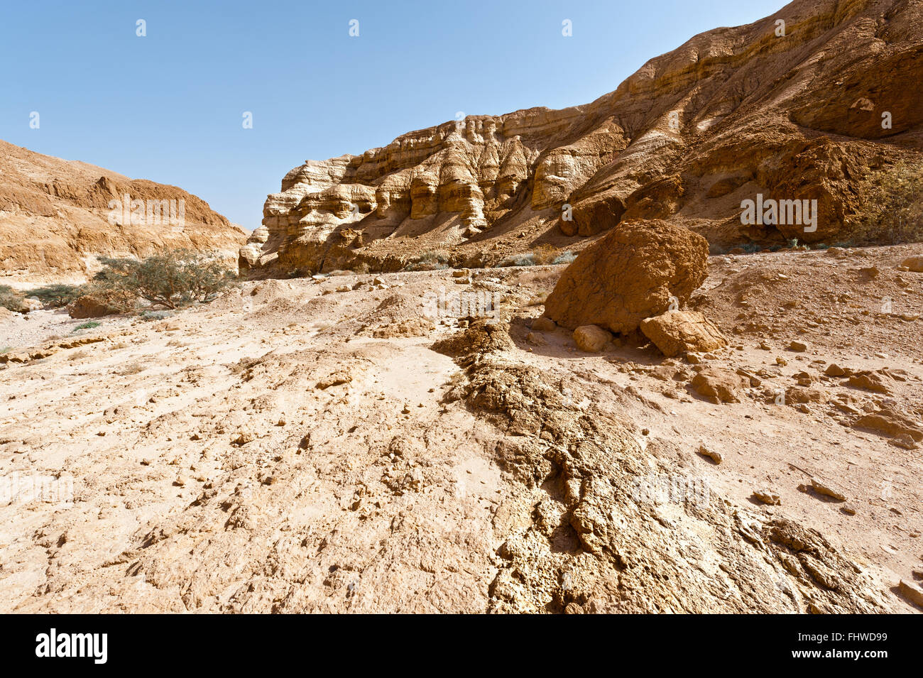 Desert in Israel Stock Photo - Alamy