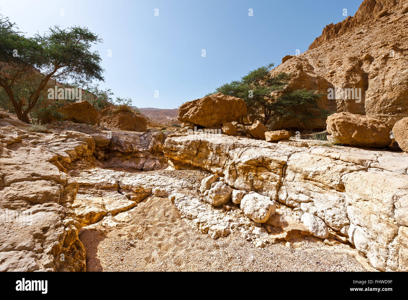 Desert in Spring Stock Photo - Alamy