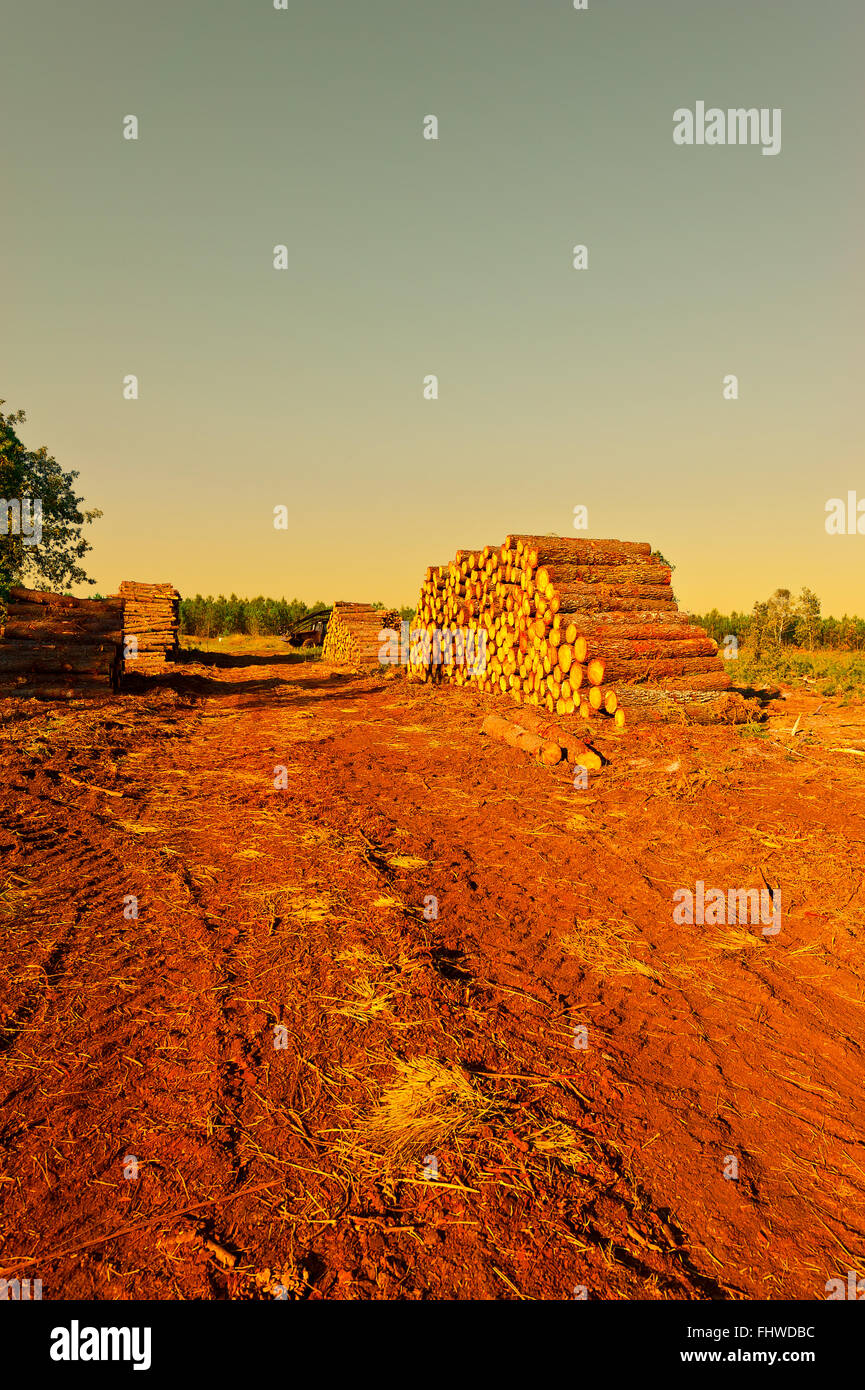 Vintage logging industry hi-res stock photography and images - Alamy