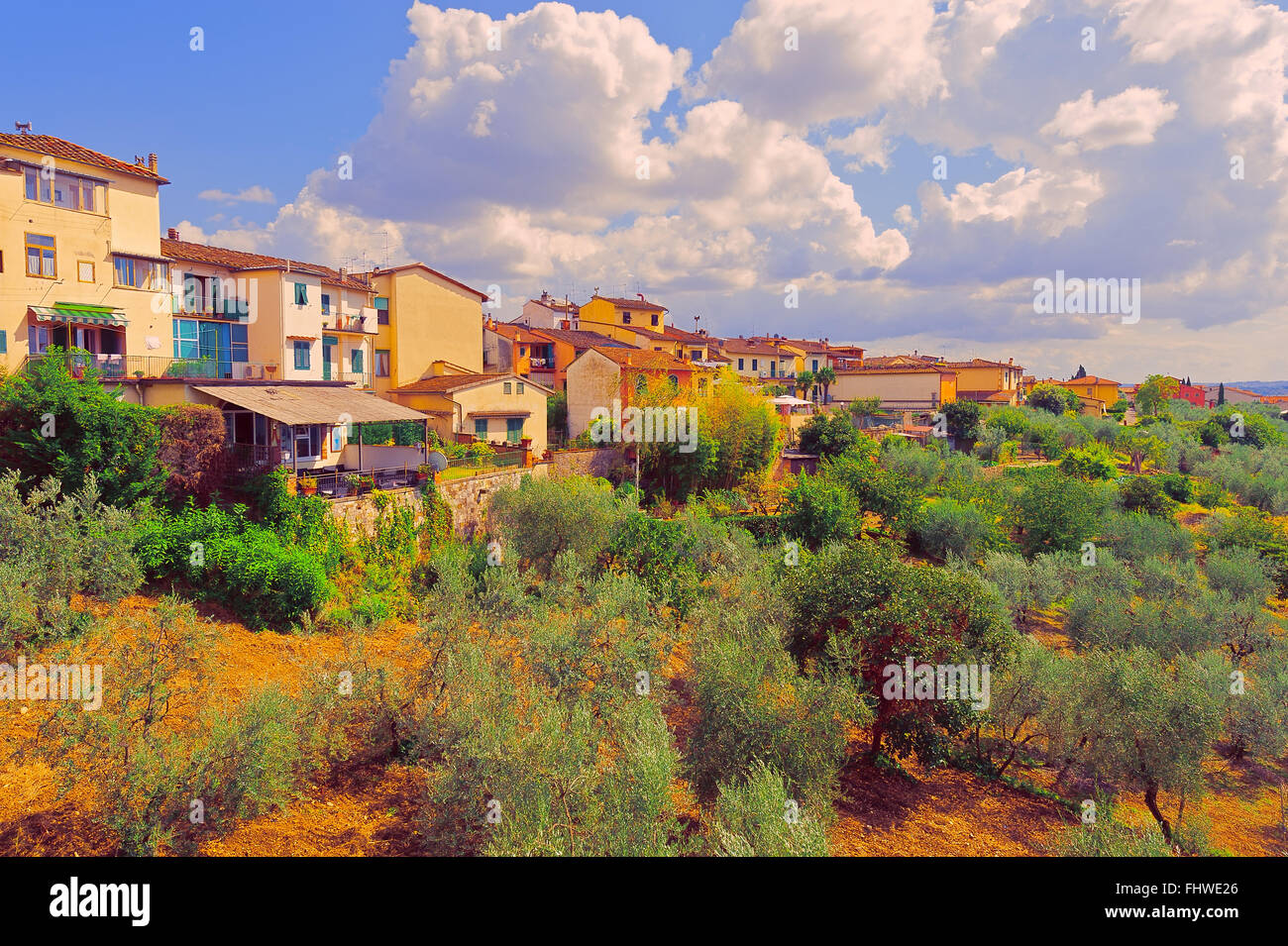 Olive tree at sunrise hi-res stock photography and images - Alamy