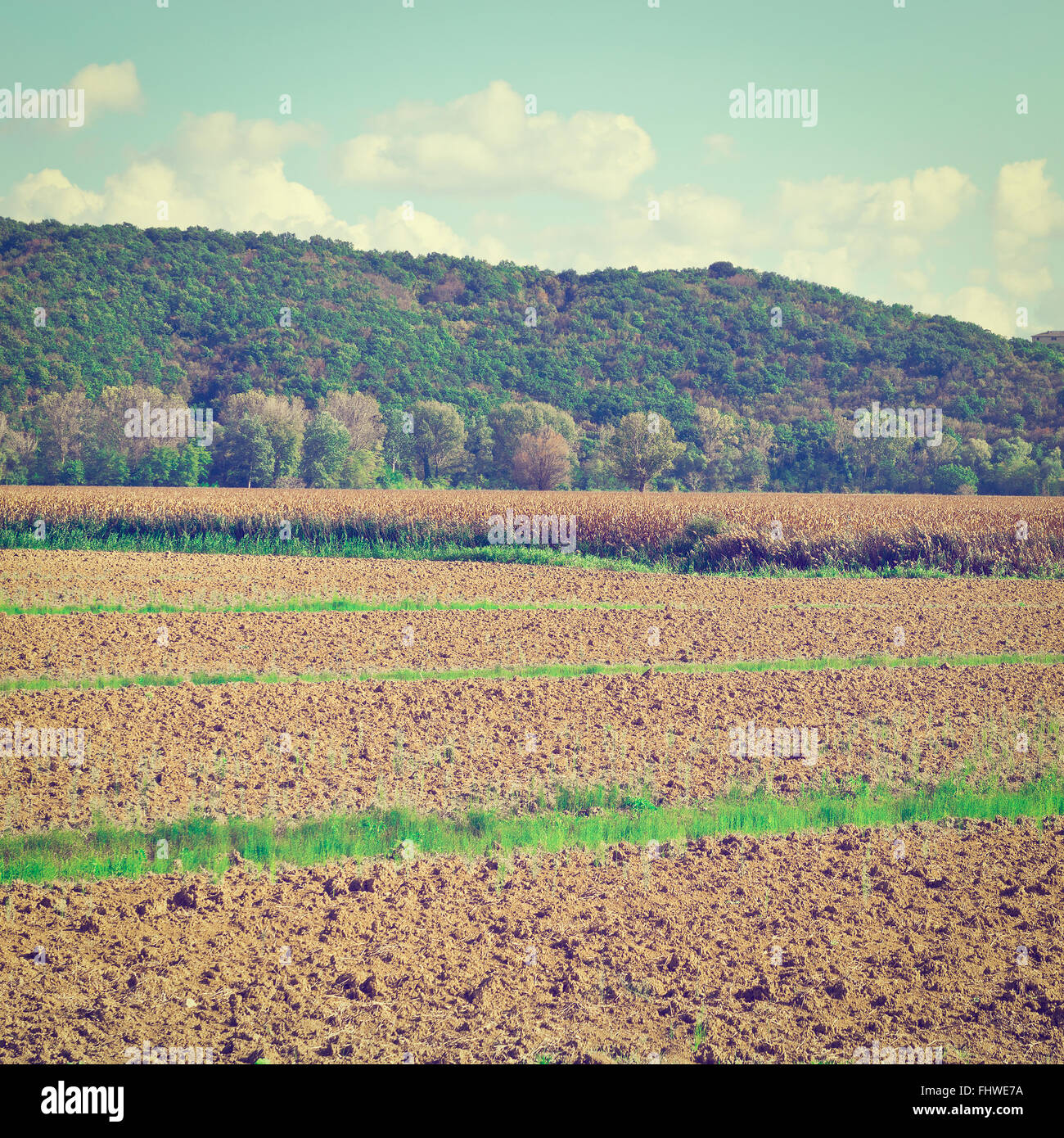 Plantation plain farmhouse hi-res stock photography and images - Alamy