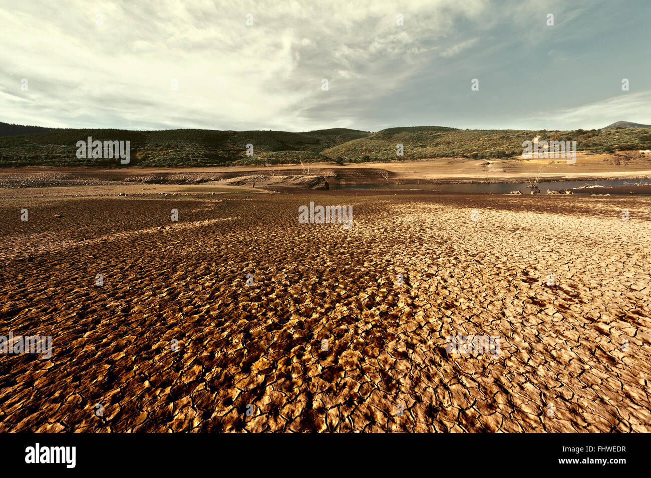 Turn dry hi-res stock photography and images - Alamy
