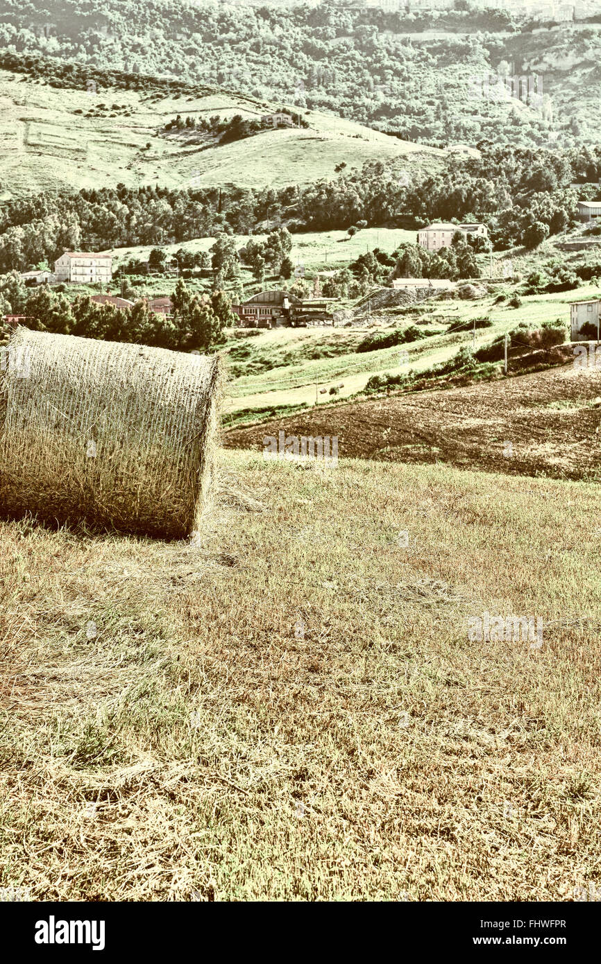 Sicilia hay bale hi-res stock photography and images - Alamy