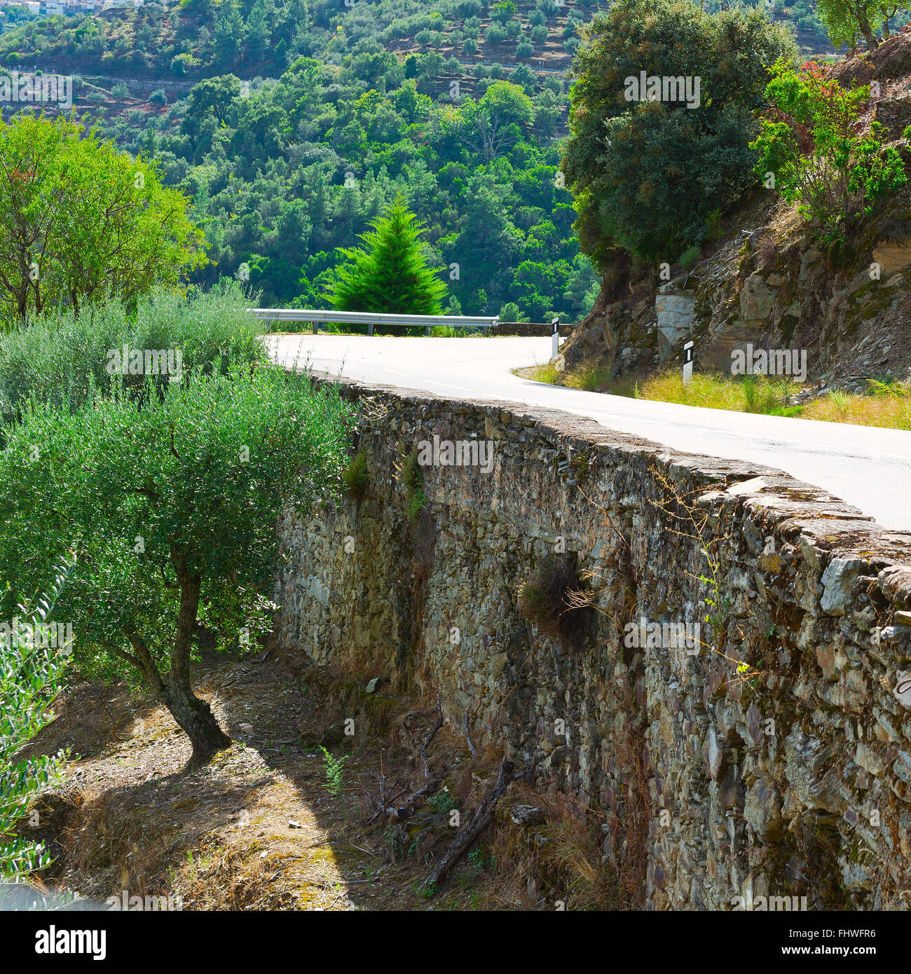 Retaining wall with tree hi-res stock photography and images - Alamy