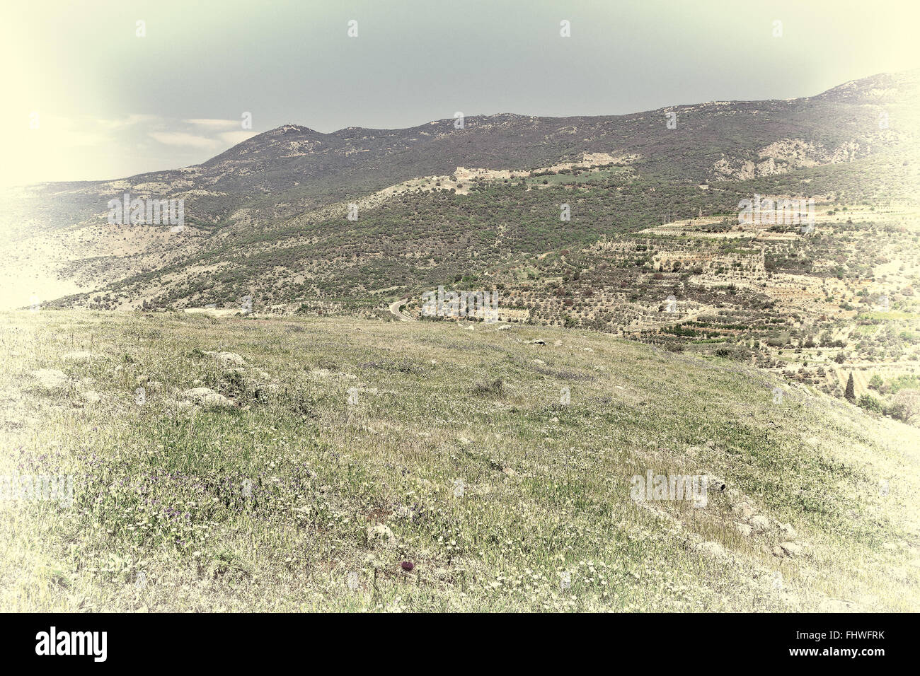Druze village golan heights hi-res stock photography and images - Alamy