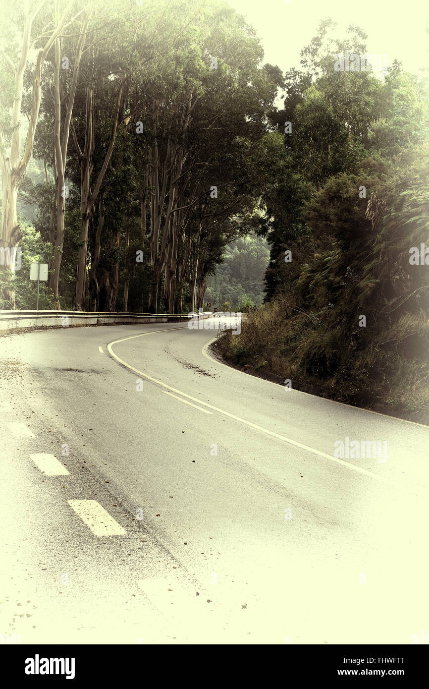 Forest Road Stock Photo - Alamy
