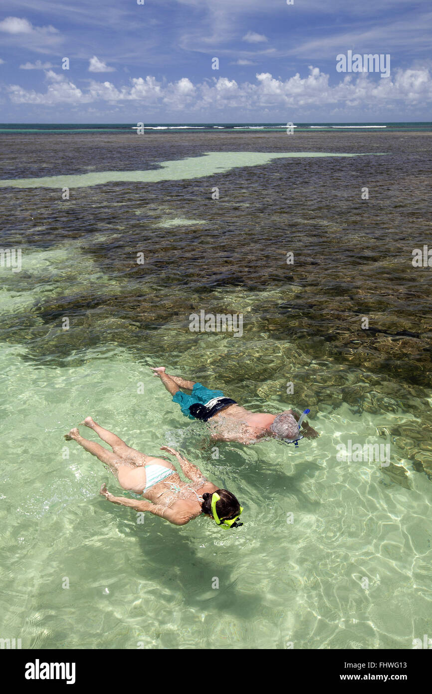Observation dip in Castelhanos Tip - Boipeba - Archipelago Tinharé ...
