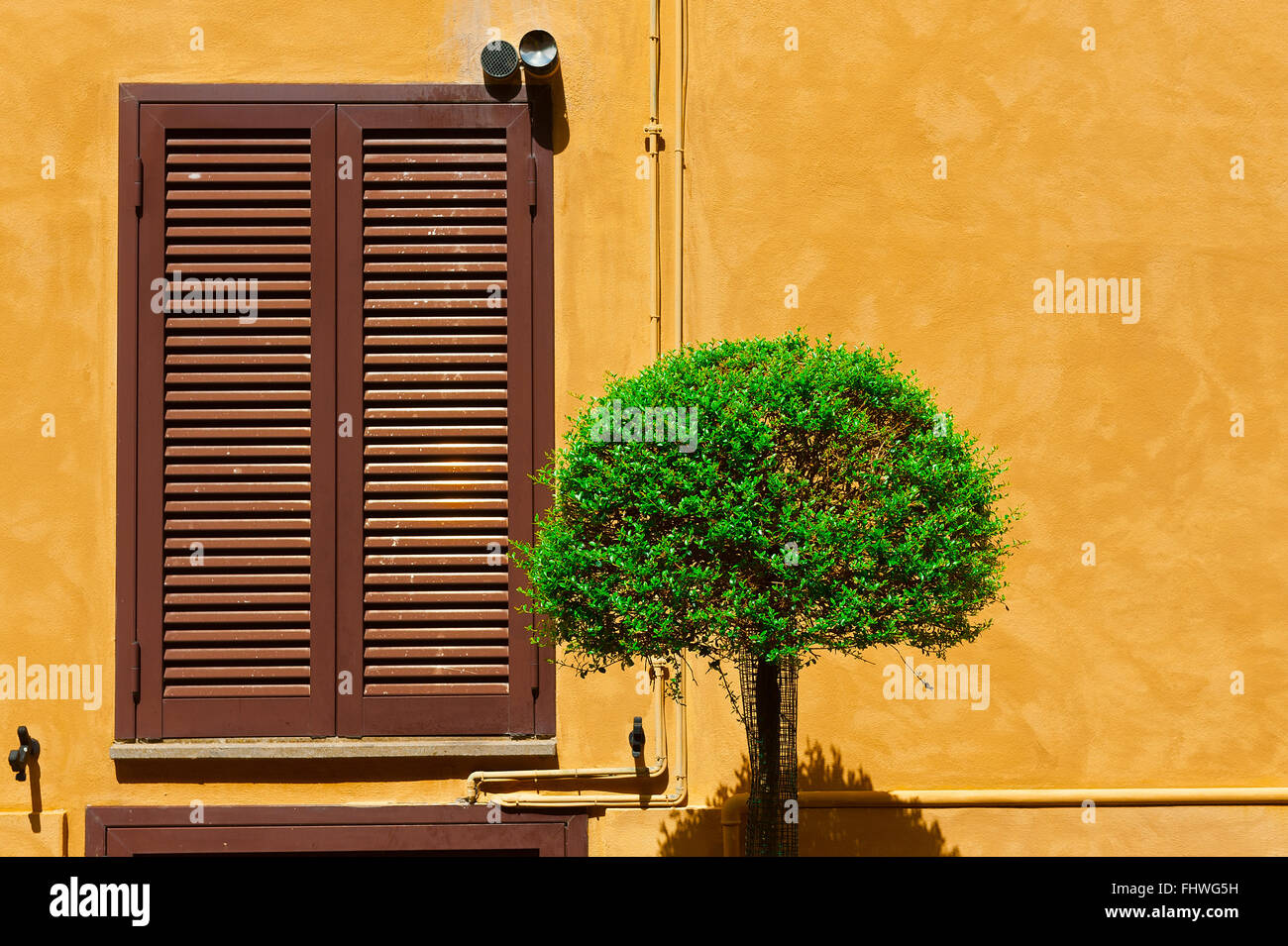 Ornamental tree hi-res stock photography and images - Alamy