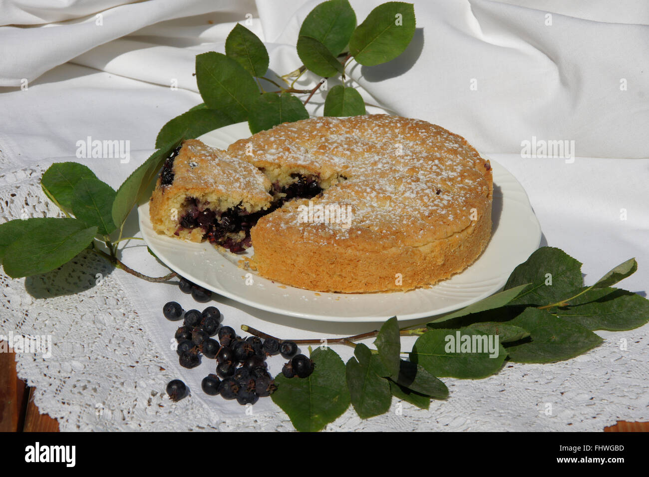 Shadblow serviceberry hi-res stock photography and images - Alamy