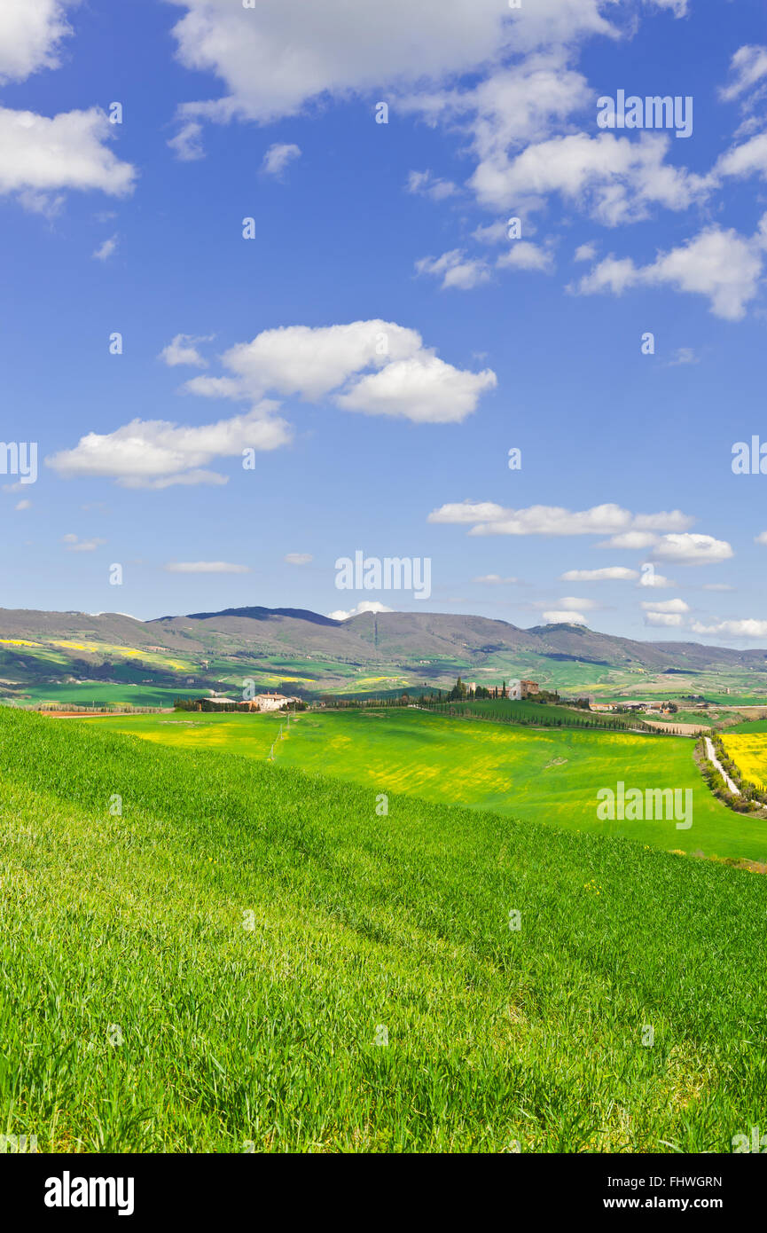 Meadows of Tuscany Stock Photo - Alamy