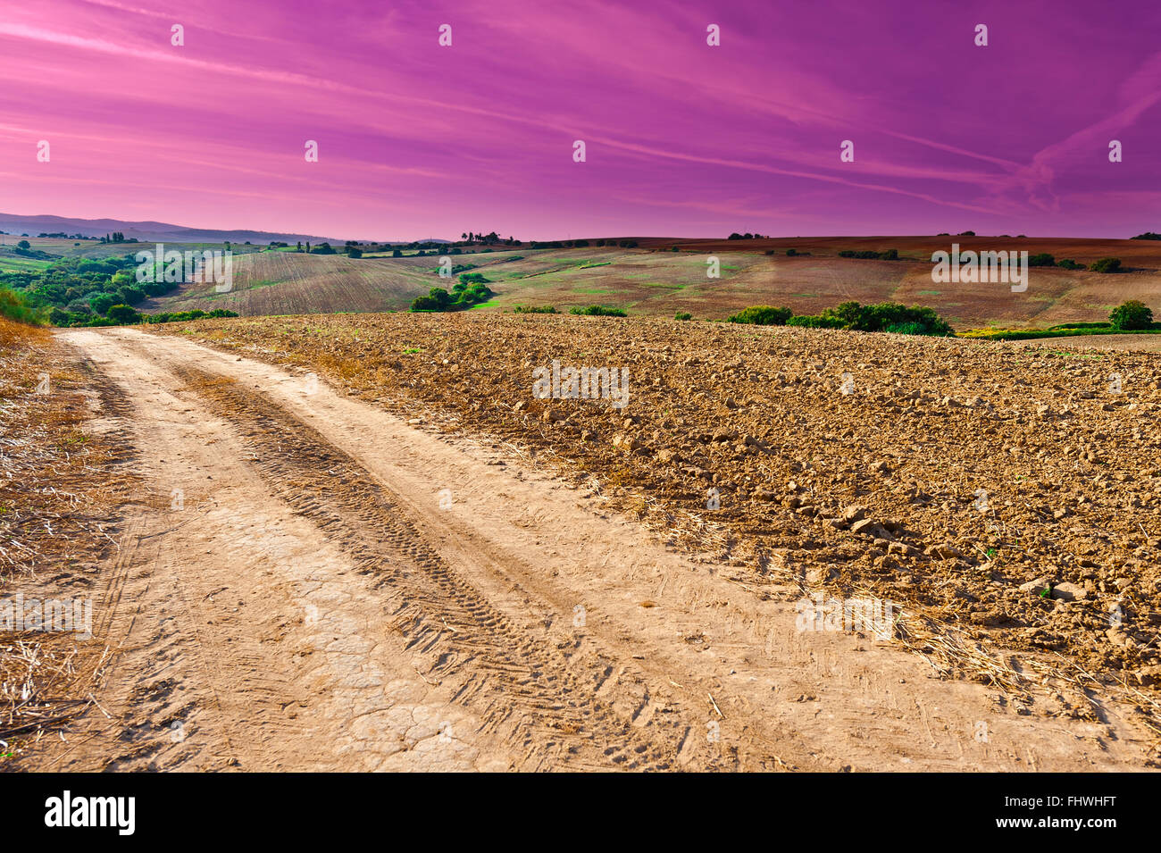 Cotton path hi-res stock photography and images - Alamy